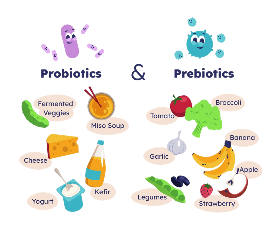 Role of Probiotics & Prebiotics in Disease Management & Prevention ...