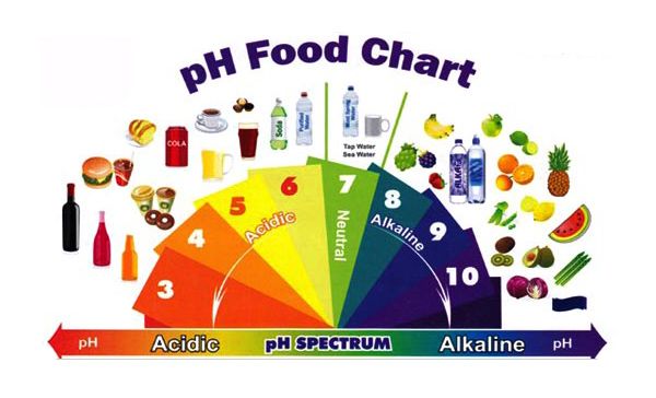 Potential Renal Acid Load (PRAL) - Arpana Hospital